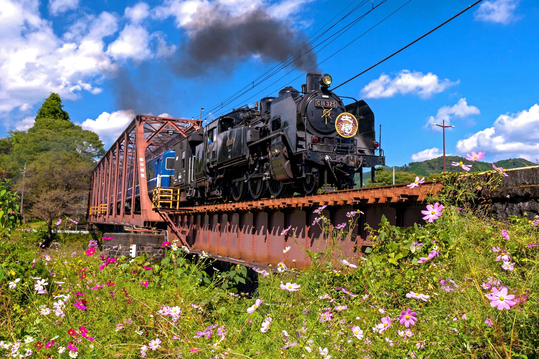 Togawa-Bridge, Tobu Railway, Tochigi, (Japan) - Sekisui Railway Technology